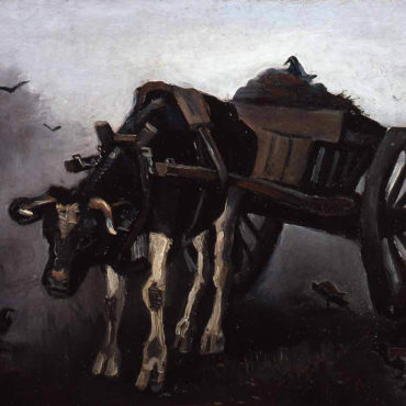 Sight + Sound | Concert Digital Guide | Hartmann's Artwork